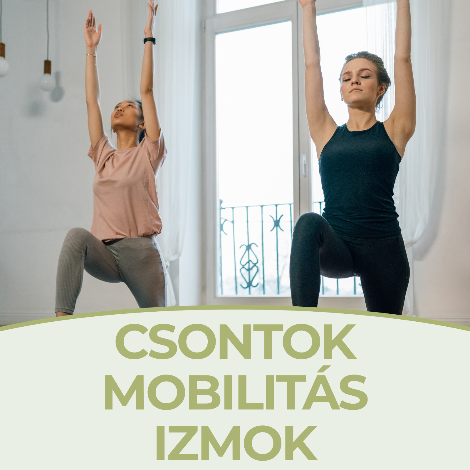 Csontok, mobilitás és izmok – Pure VI