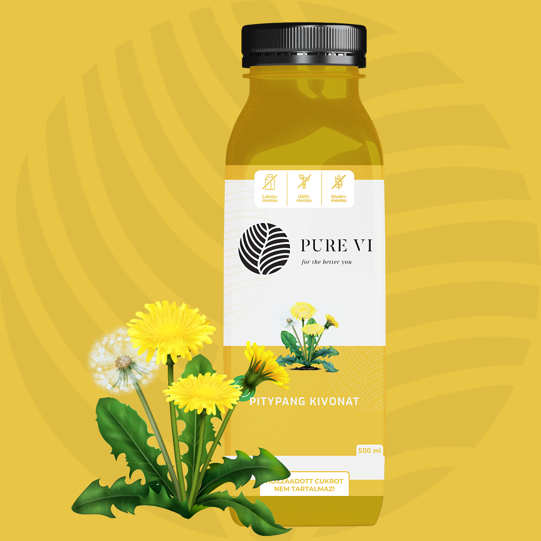 Pure Vi Pitypang Kivonat - prebiotikus rostok, inulin – Pure VI